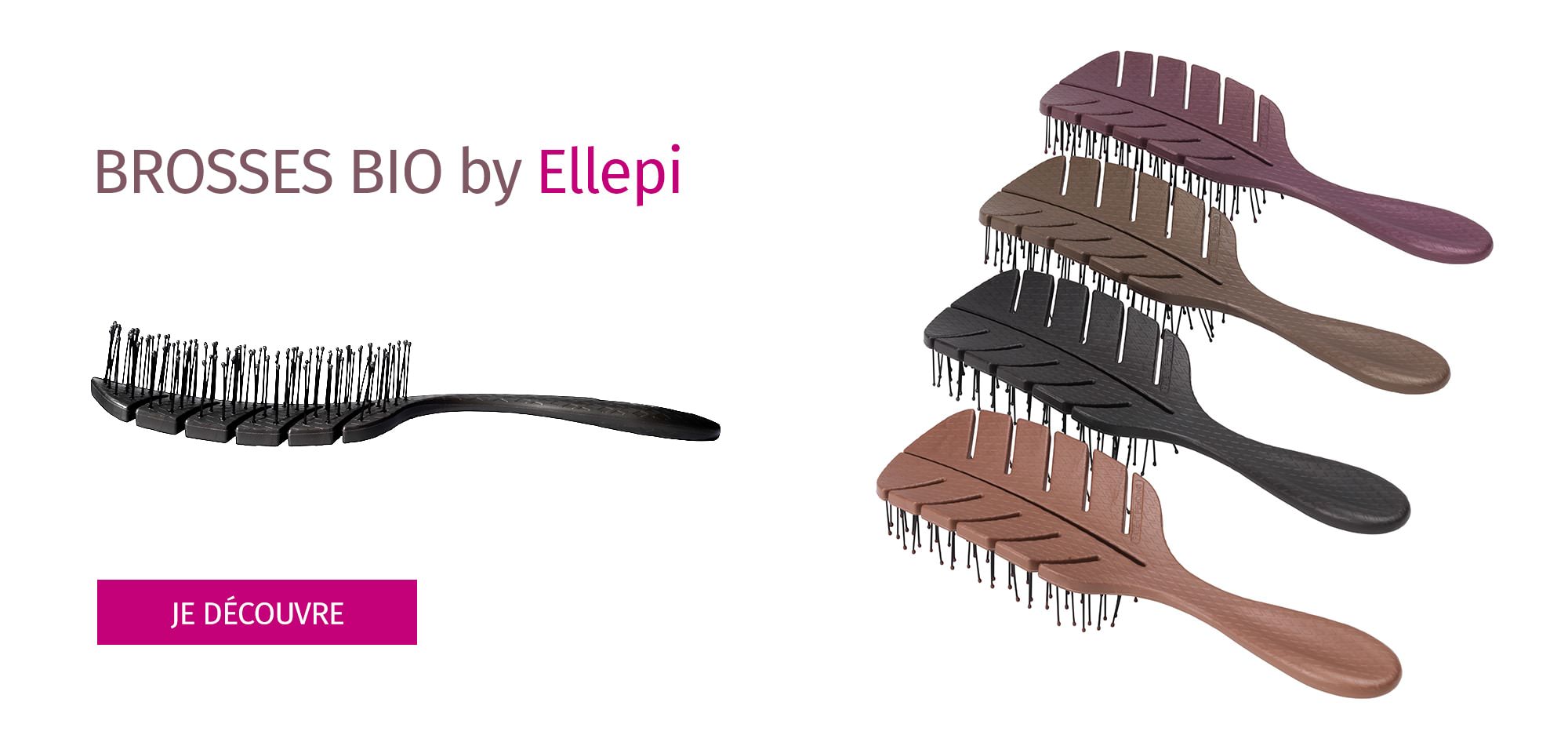 Bienvenue chez Ellepi